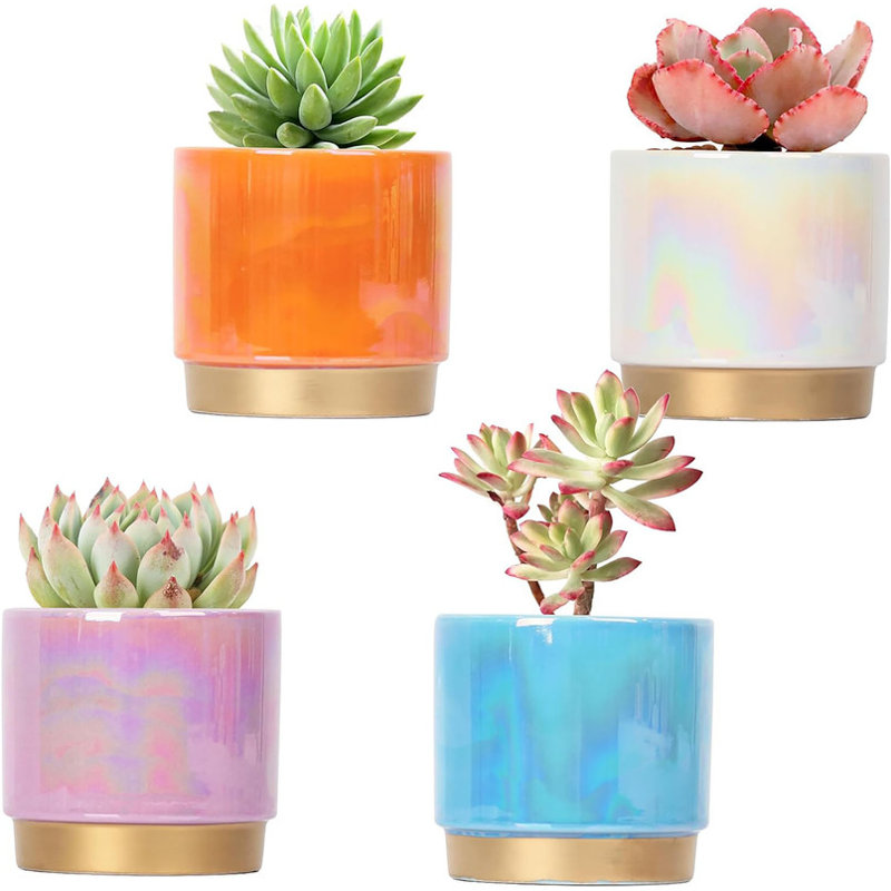 Mercer41 Audee Ceramic Pot Planter | Wayfair